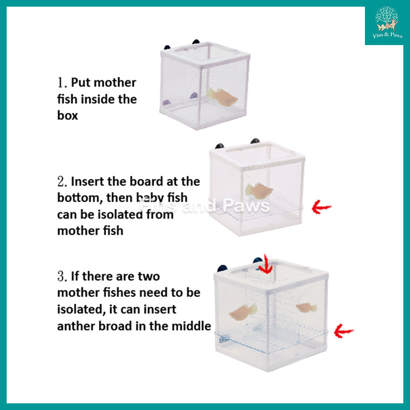 [ISTA] Double Isolation & Breeding Box – Fins and Paws
