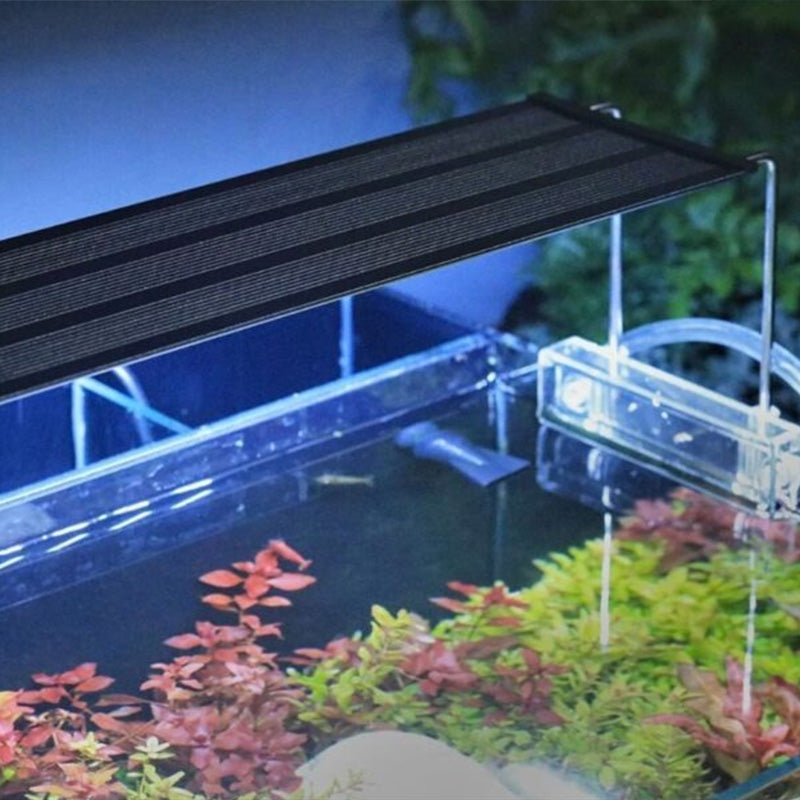 [Neo Helios] XP-Series Slim Aquarium LED Light for Freshwater, Low Tec ...