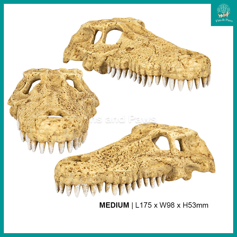 [Reptizoo] Crocodile Skull Hide Cave Ornament – Fins and Paws